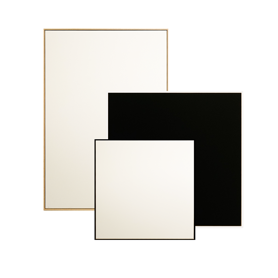 FrameMates Complete Bundle - 3 canvases + 2 frames - The Framing Project