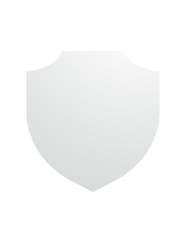 Warrior Shield - The Framing Project